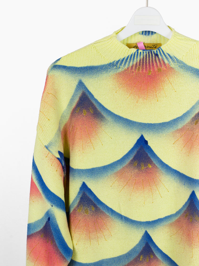 Penultimate SS24 Spray Painted Koi Sweater – HUIBEN